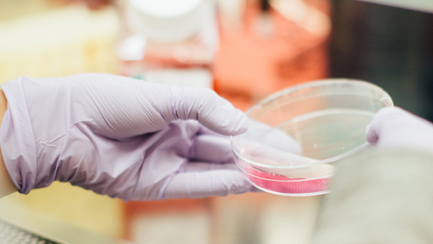 Green Chemistry | BioEco